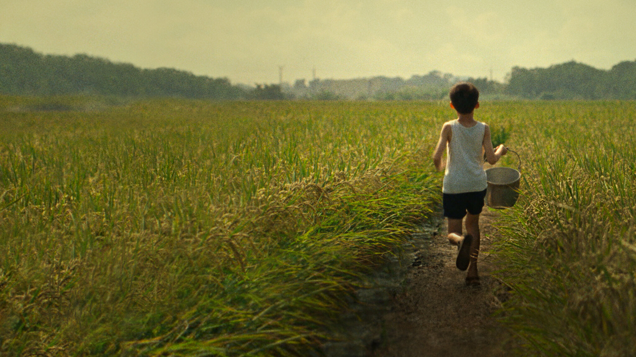 Watch Tigertail | Netflix Official Site