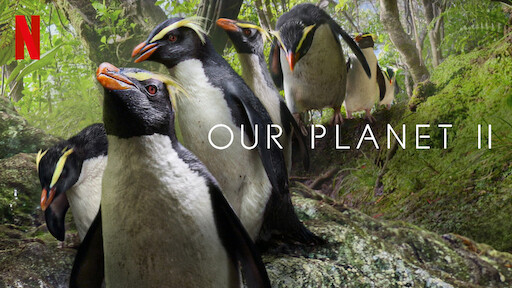 Watch Unknown: Cave of Bones | Netflix Official Site