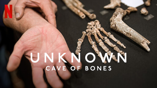 Watch Unknown: The Lost Pyramid | Netflix Official Site