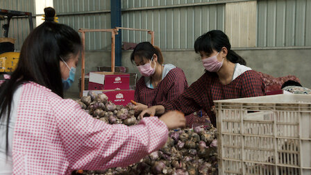 Watch Rotten | Netflix Official Site