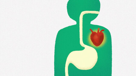 Watch Explained | Netflix Official Site