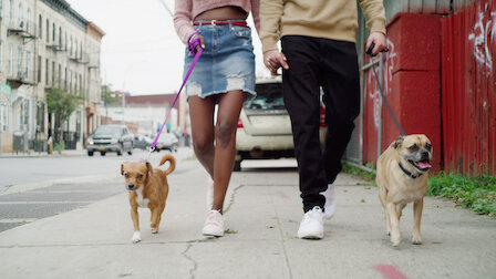 Watch It's Bruno! | Netflix Official Site