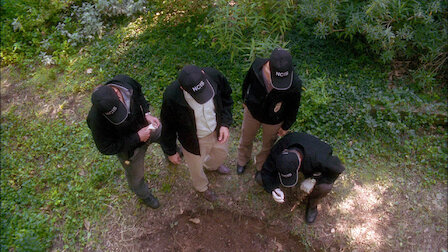 Watch NCIS | Netflix