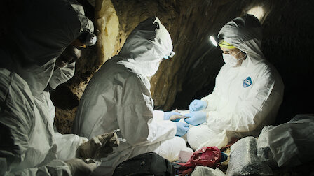 Pandemic: How to Prevent an Outbreak | Netflix Resmi Sitesi