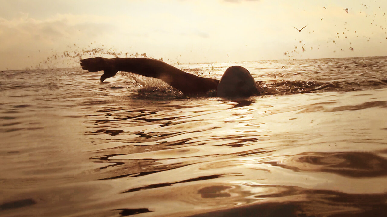 Watch 100 Millions Swimming | Netflix