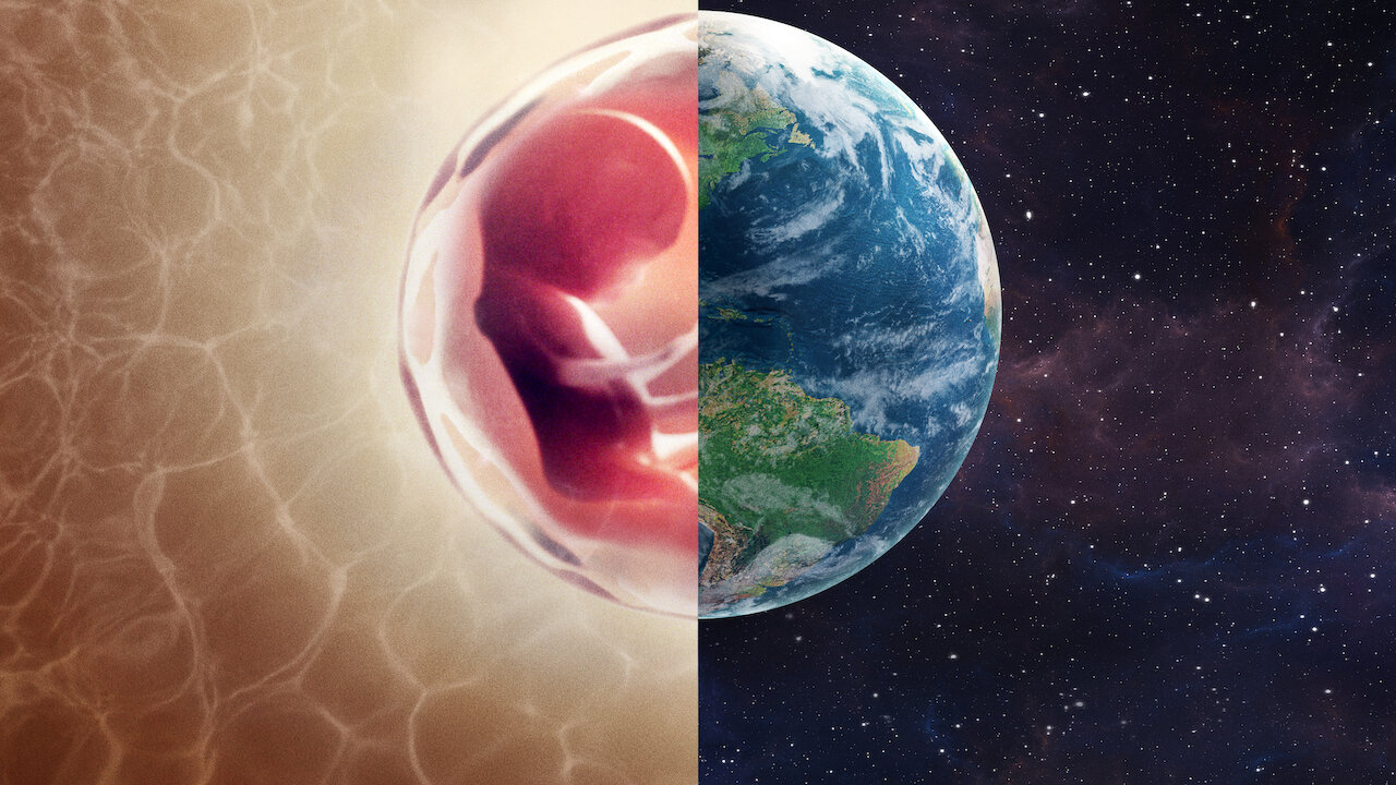 Corpo Humano: Nosso Mundo Interior | Site oficial da Netflix