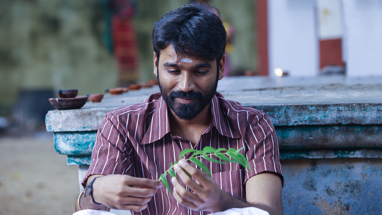 Watch Power Paandi | Netflix