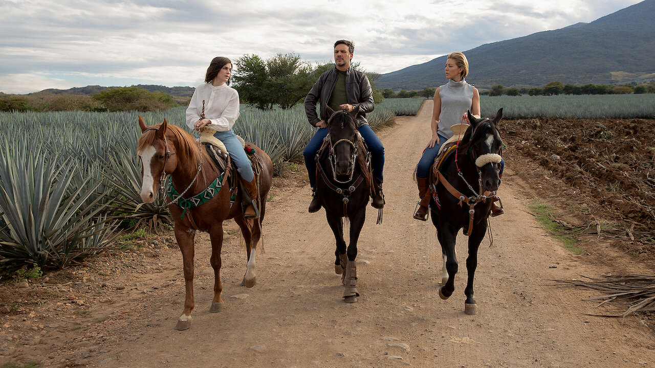 Watch Monarca | Netflix Official Site