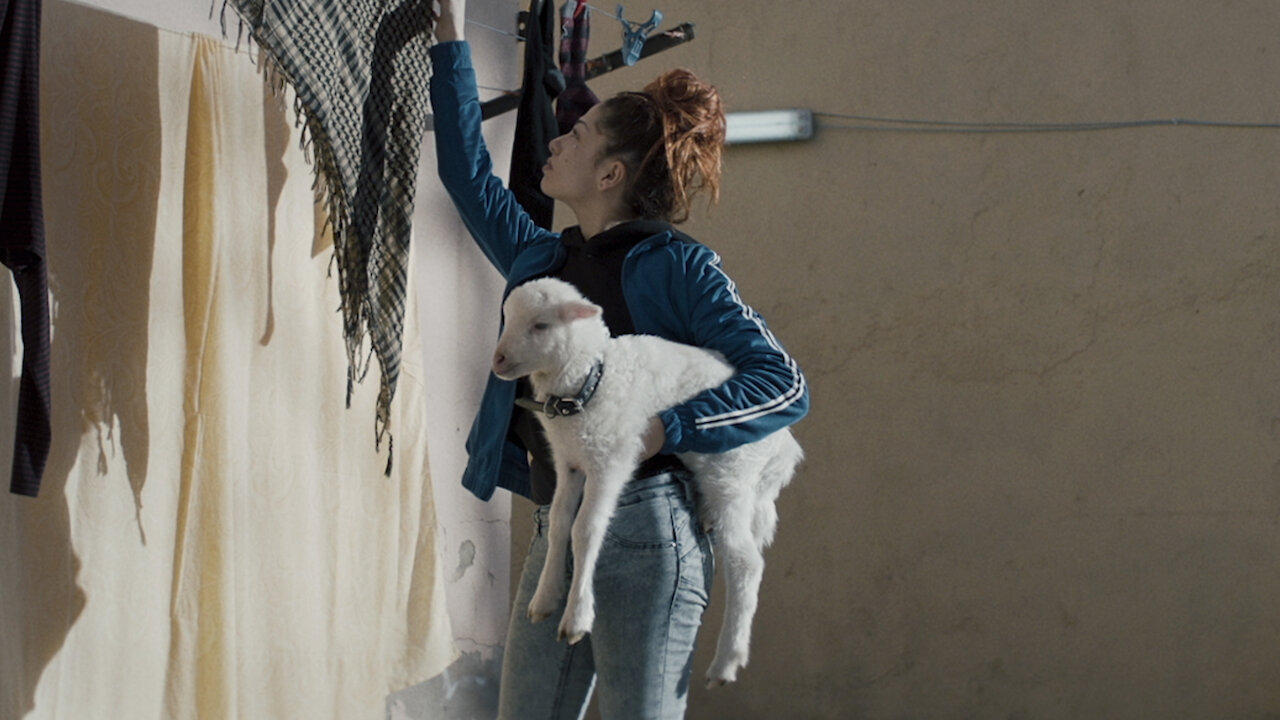 Watch The Lamb | Netflix