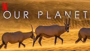 Nature & Ecology Documentaries | Netflix Official Site