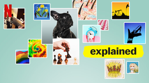 Watch The Mind, Explained | Netflix Official Site