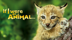 Nature & Ecology Documentaries | Netflix Official Site