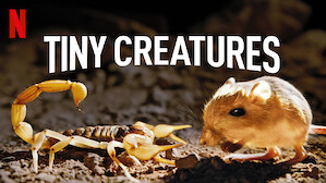 Nature & Ecology Documentaries | Netflix Official Site