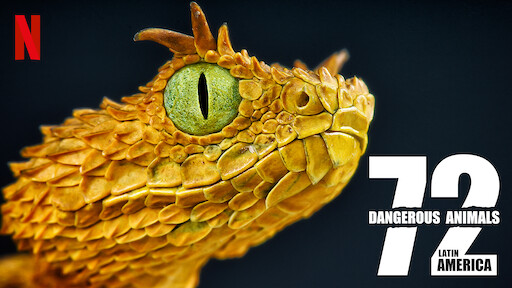 72 Dangerous Animals: Asia | موقع Netflix الرسمي